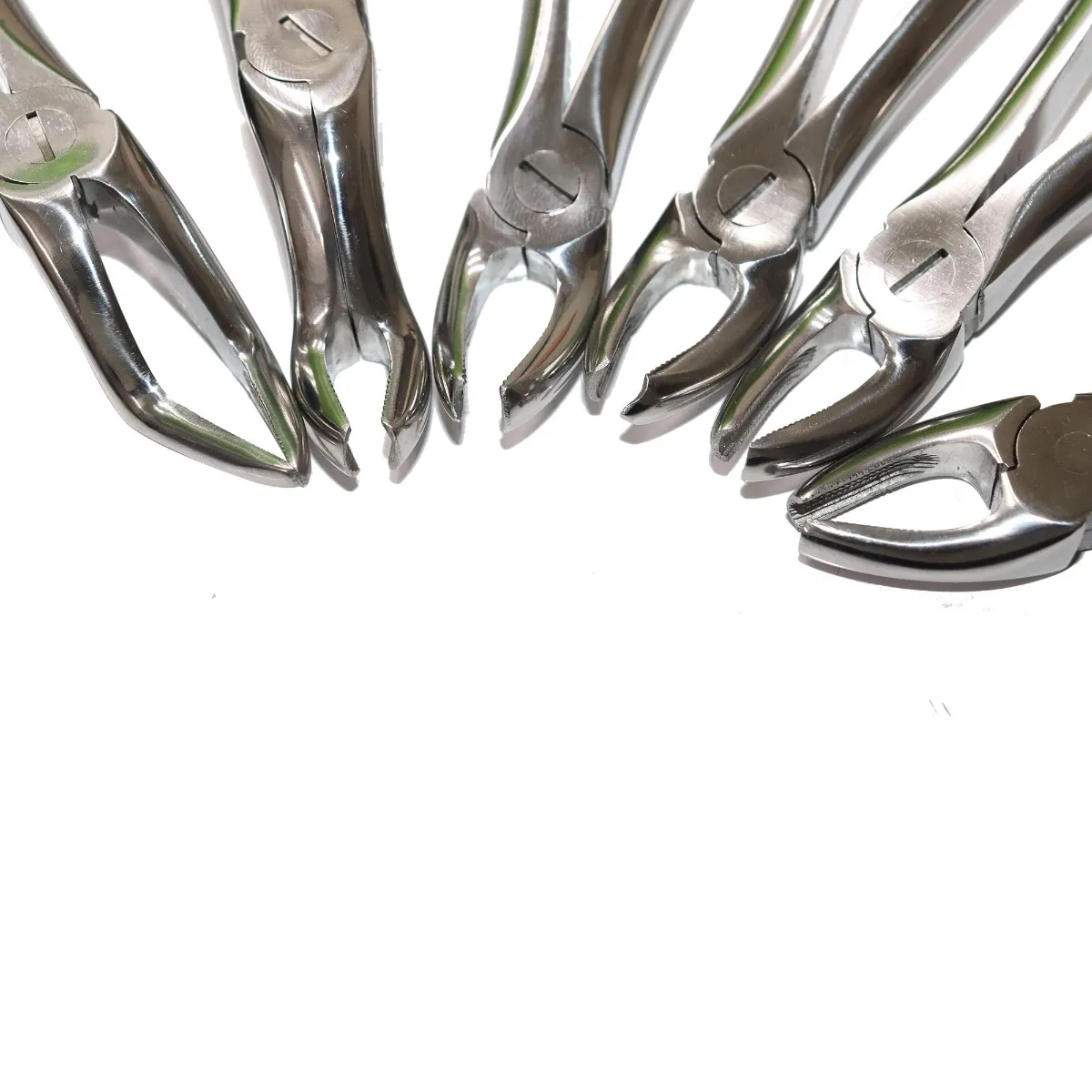 GII Tooth Extraction Forceps (Set Of 12) | DentalKart