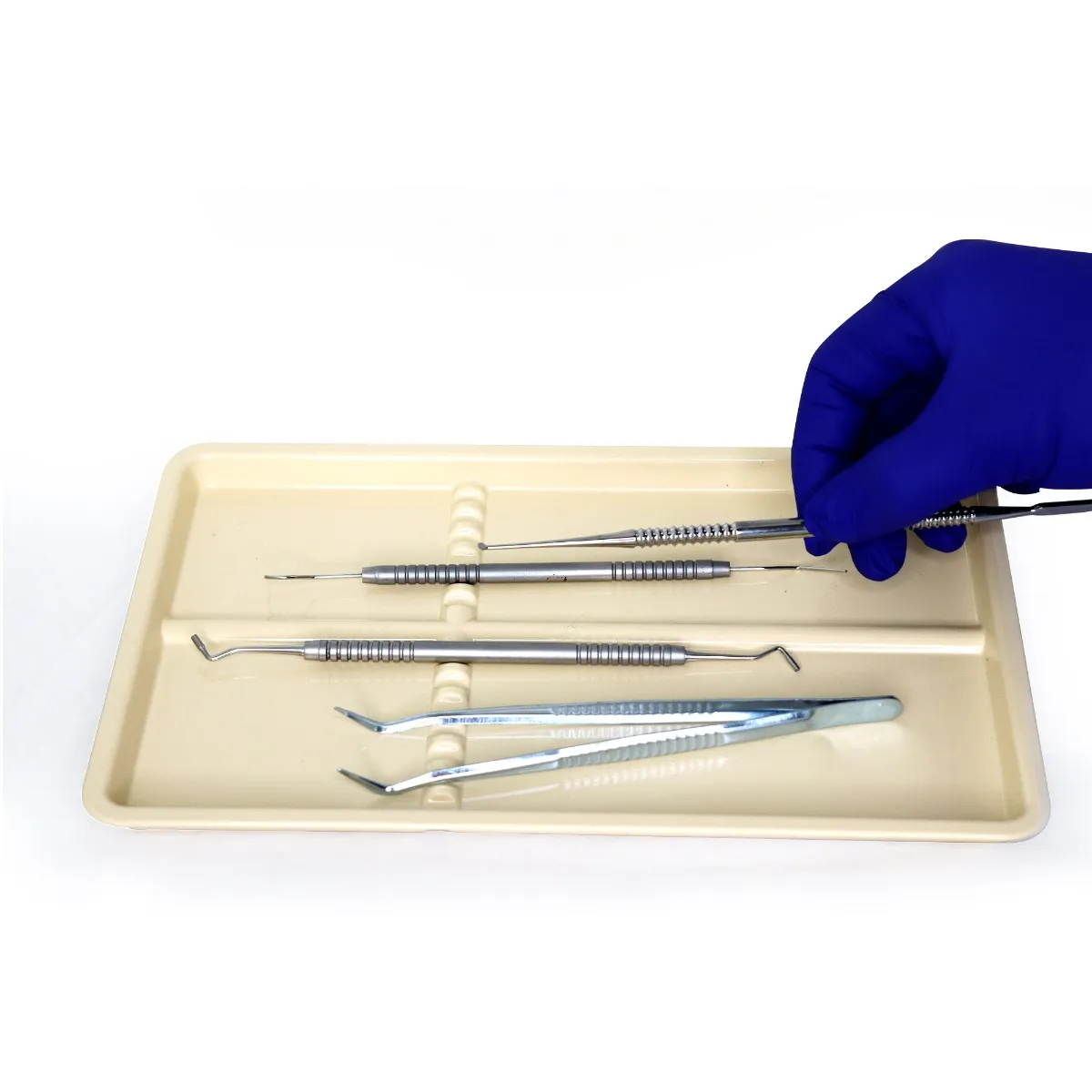 Life Steriware Plastic Autoclavable UV Chamber Trays | Dentalkart