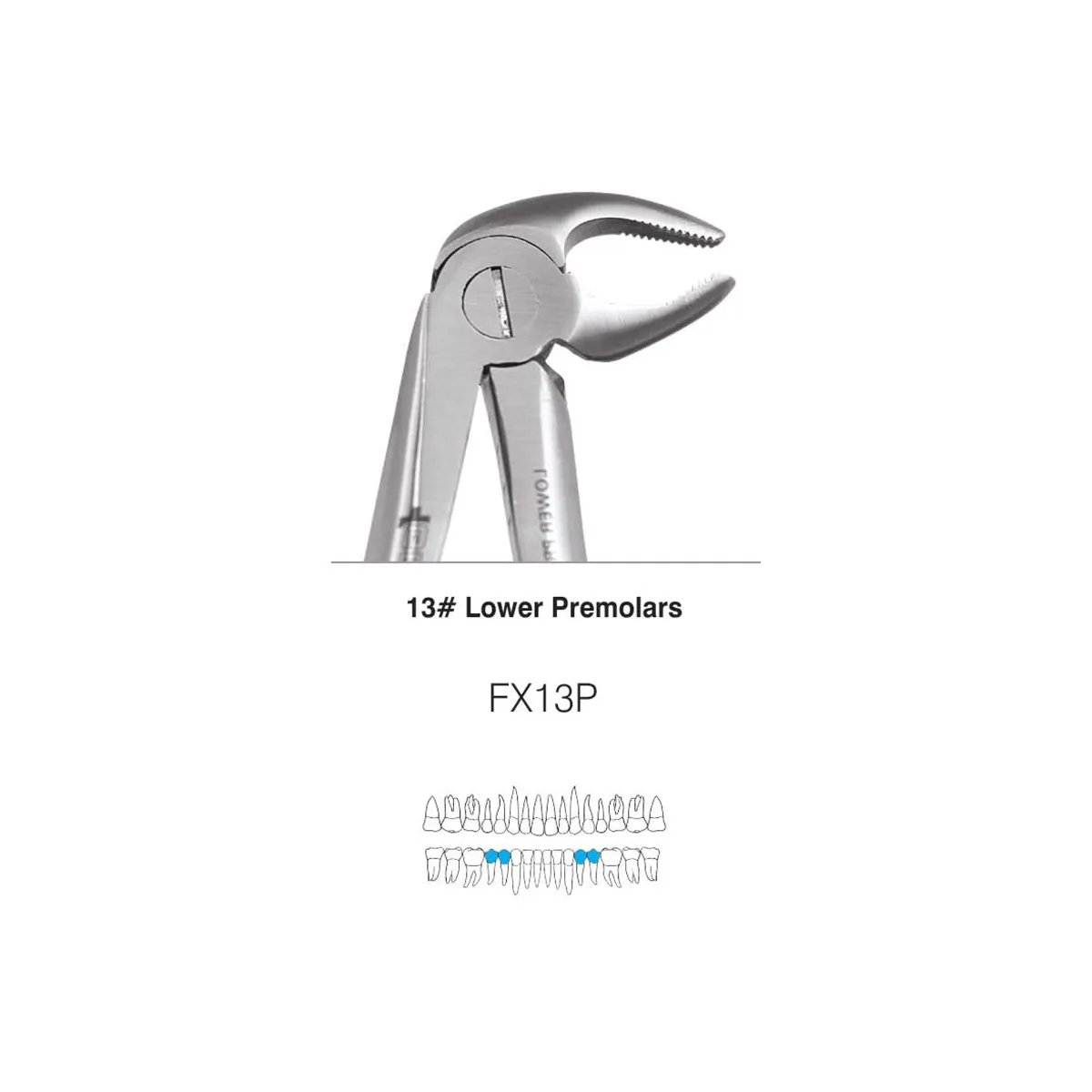 GDC Extraction Forceps S/12 With Cassette Instruments Kit (EFPWC12 ...