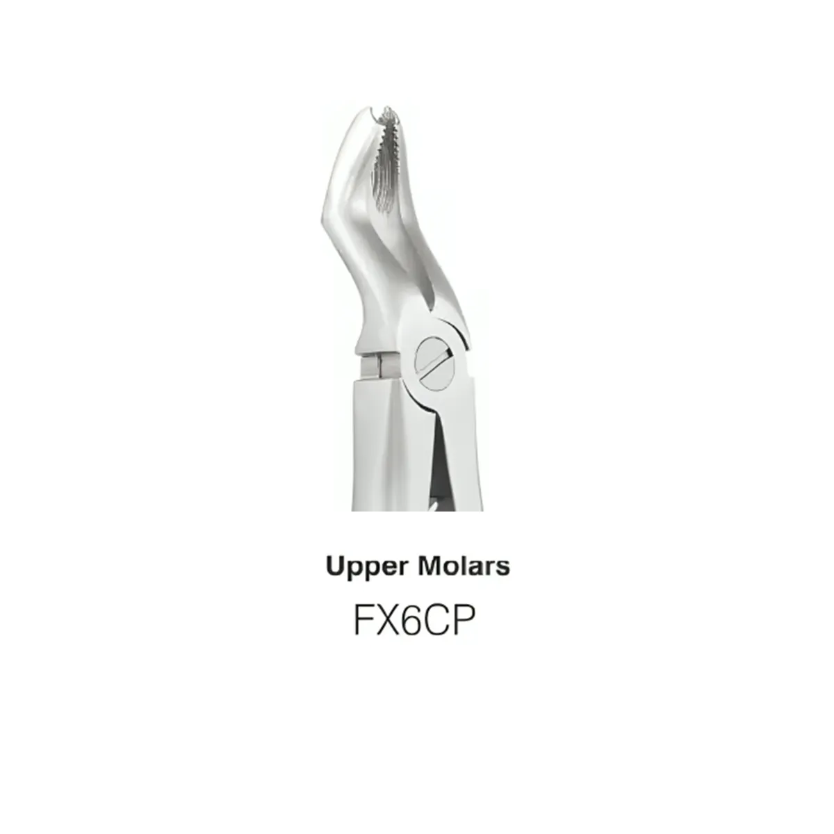 GDC Extraction Forceps Upper Molars Pedo Premium (FX6CP) Online at Best ...