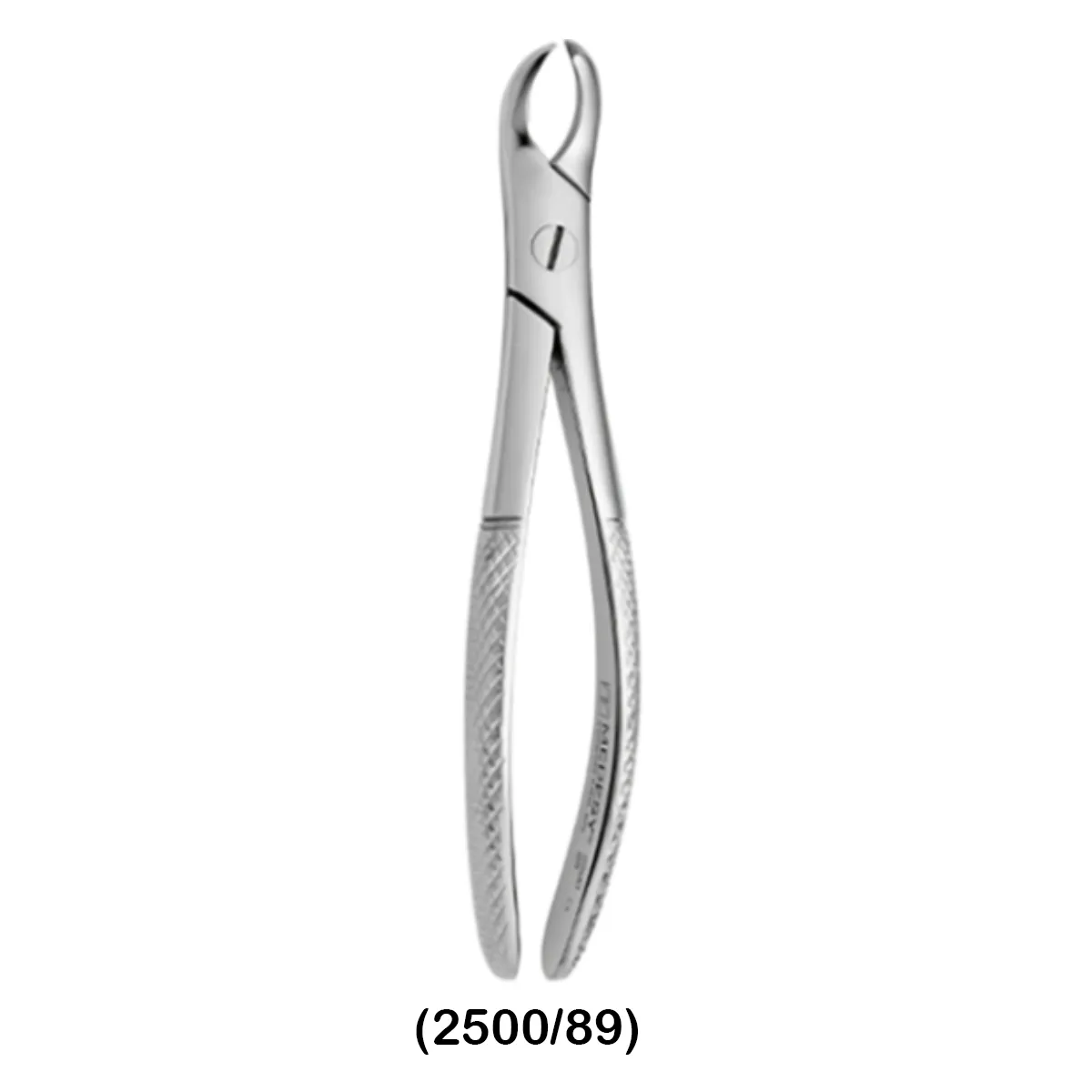 Medesy Upper Molar Extraction Forceps Online at Best Price | Dentalkart.com