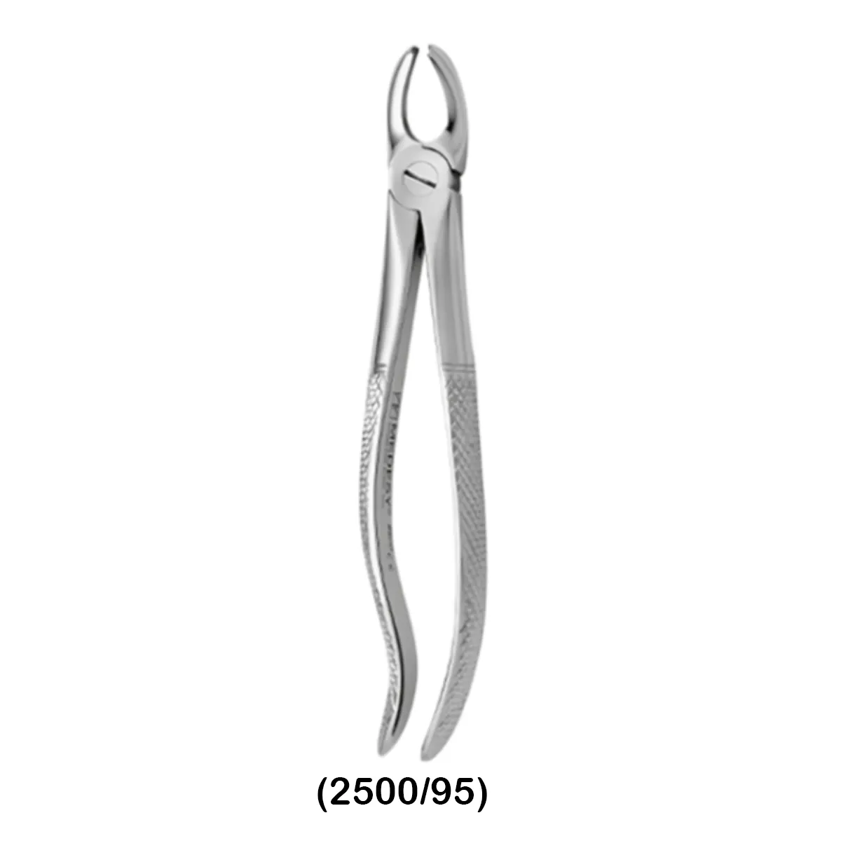 Medesy Upper Molar Extraction Forceps Online at Best Price | Dentalkart.com