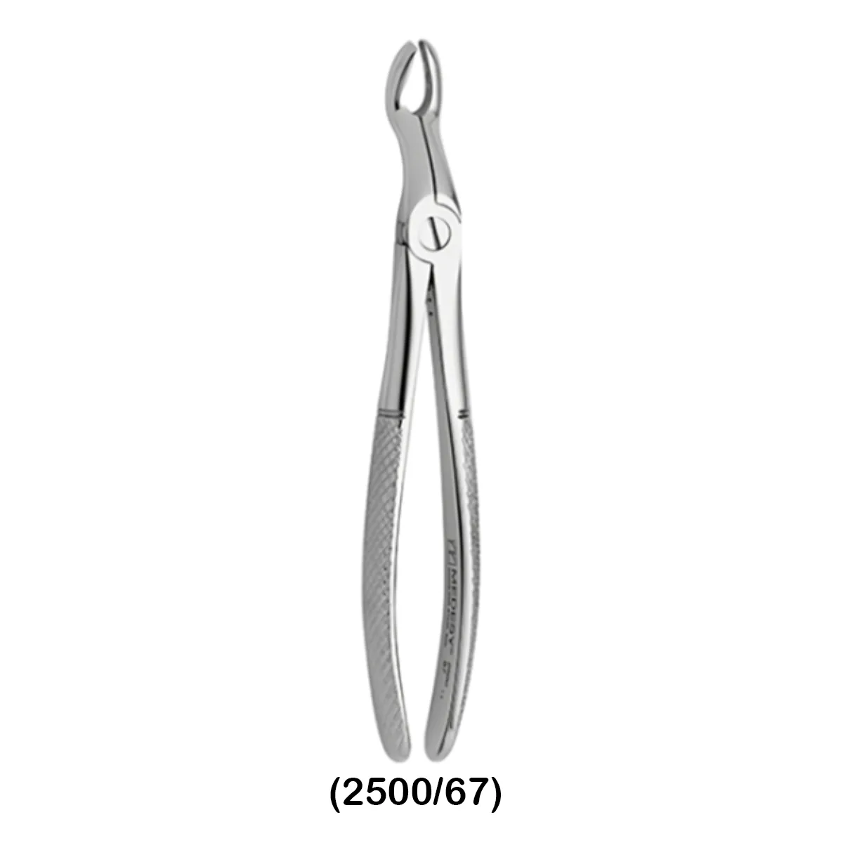 Medesy Upper Molar Extraction Forceps Online at Best Price | Dentalkart.com