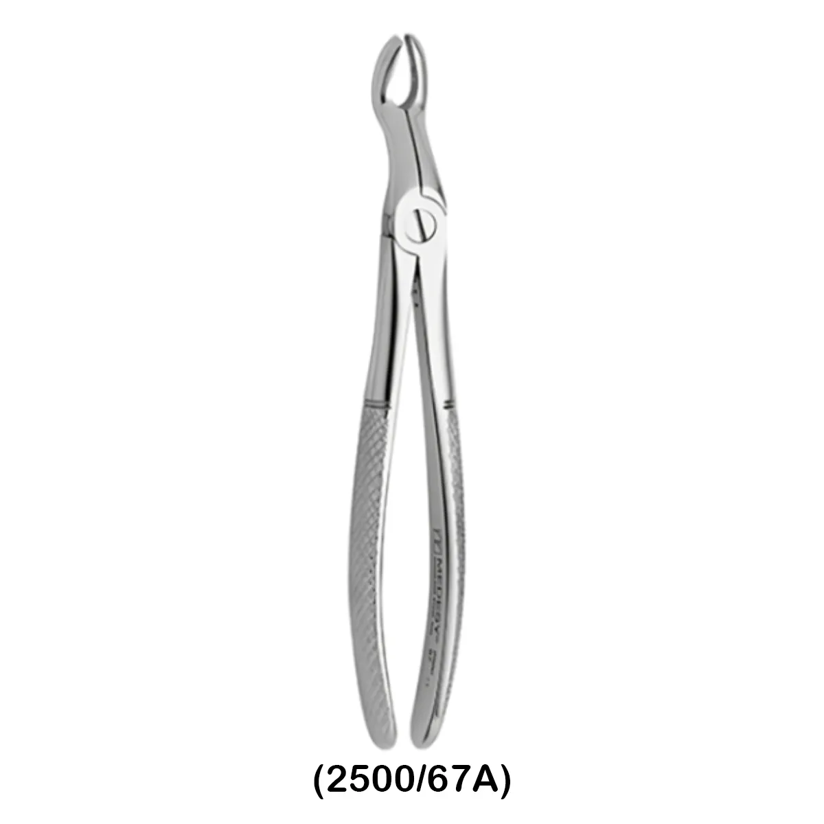 Medesy Upper Molar Extraction Forceps Online at Best Price | Dentalkart.com