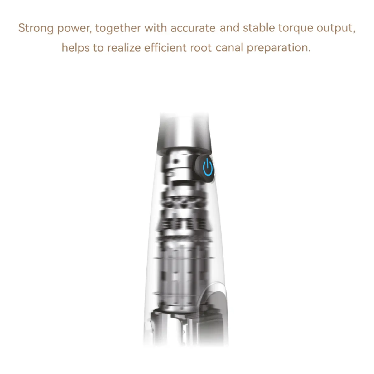 Waldent RTA Endo Space Brushless Endomotor With