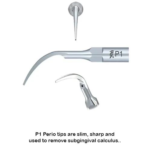 Buy Woodpecker Scaler Tip P1 for UDS & EMS Scalers Online at Best Price ...