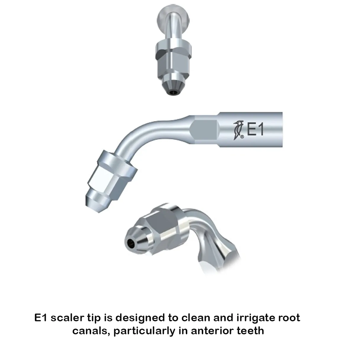 Woodpecker Scaler Tip E1 for UDS & EMS Scalers Online at Best Price ...
