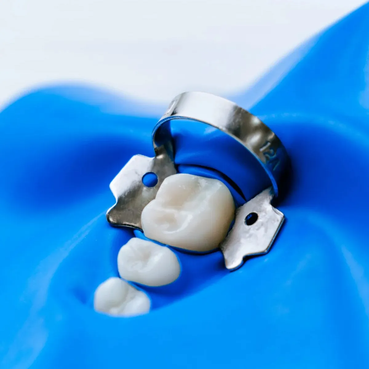 Buy GDC Rubber Dam Clamp Adult 12a - Best Dental Instrument - Dentalkart