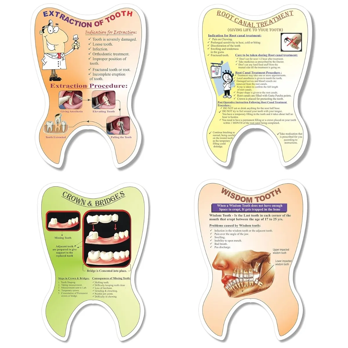 Unique Dents Tooth - Shaped Educative Pads - Set of 4 (English)