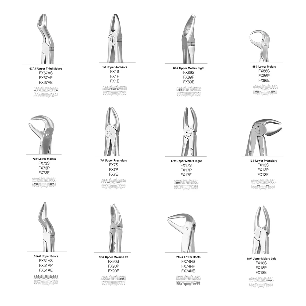 Buy Now GDC Ergonomic Extraction Forceps- Superior Dental Forceps