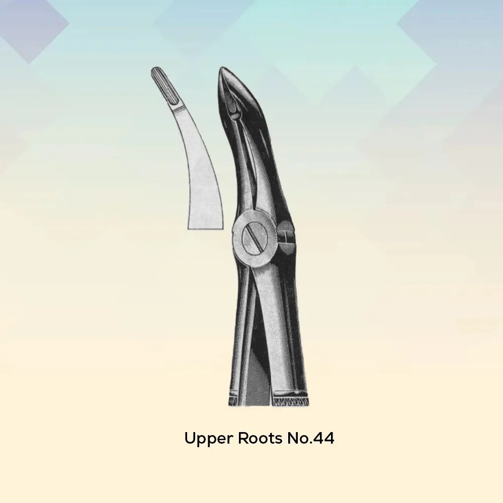 Api Tooth Extraction Forcep Upper Roots No.44 | DentalKart