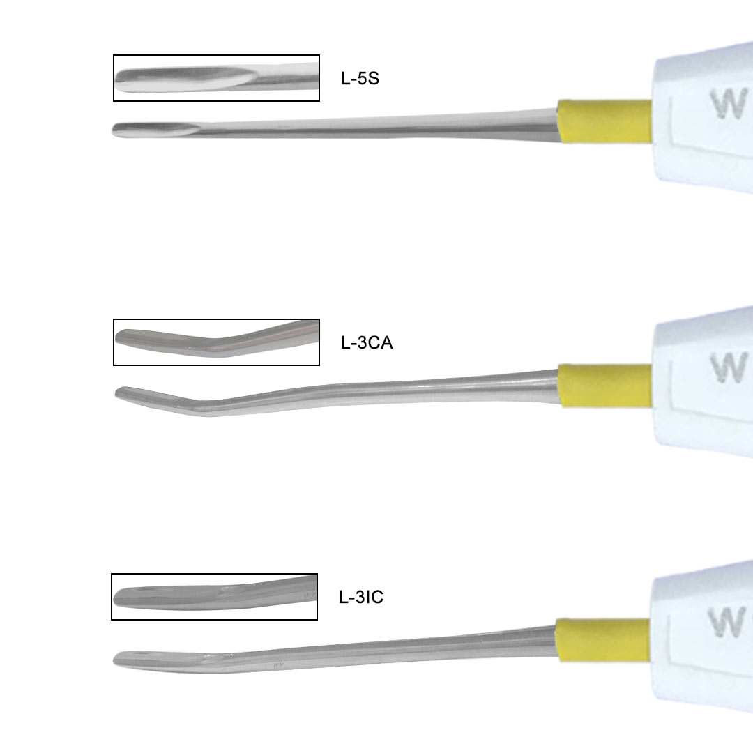 Buy Waldent Luxators | Best Dental Luxator Tools for Extraction ...