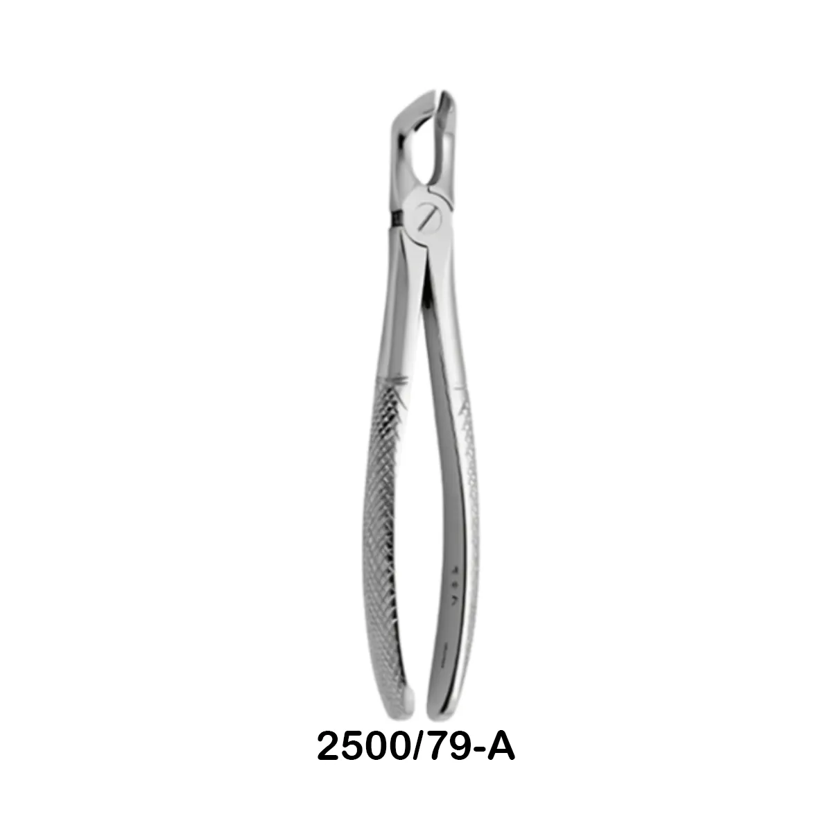 Medesy Lower Molar Extraction Forceps Online at Best Price | Dentalkart.com