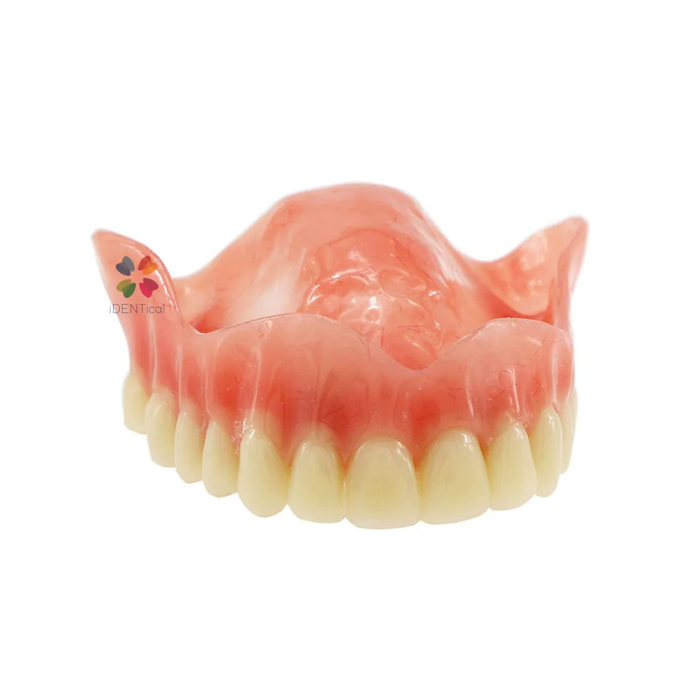 Buy iDENTical Overdenture Maxilla Model M6001:with Edentulous Solutions ...