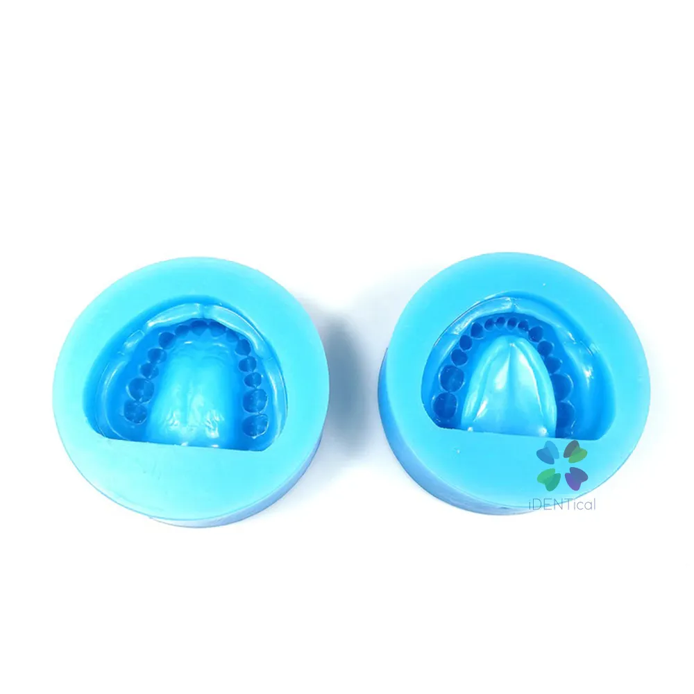 iDENTical Complete Dentulous Cast Moulds - Blue M8019 for ...