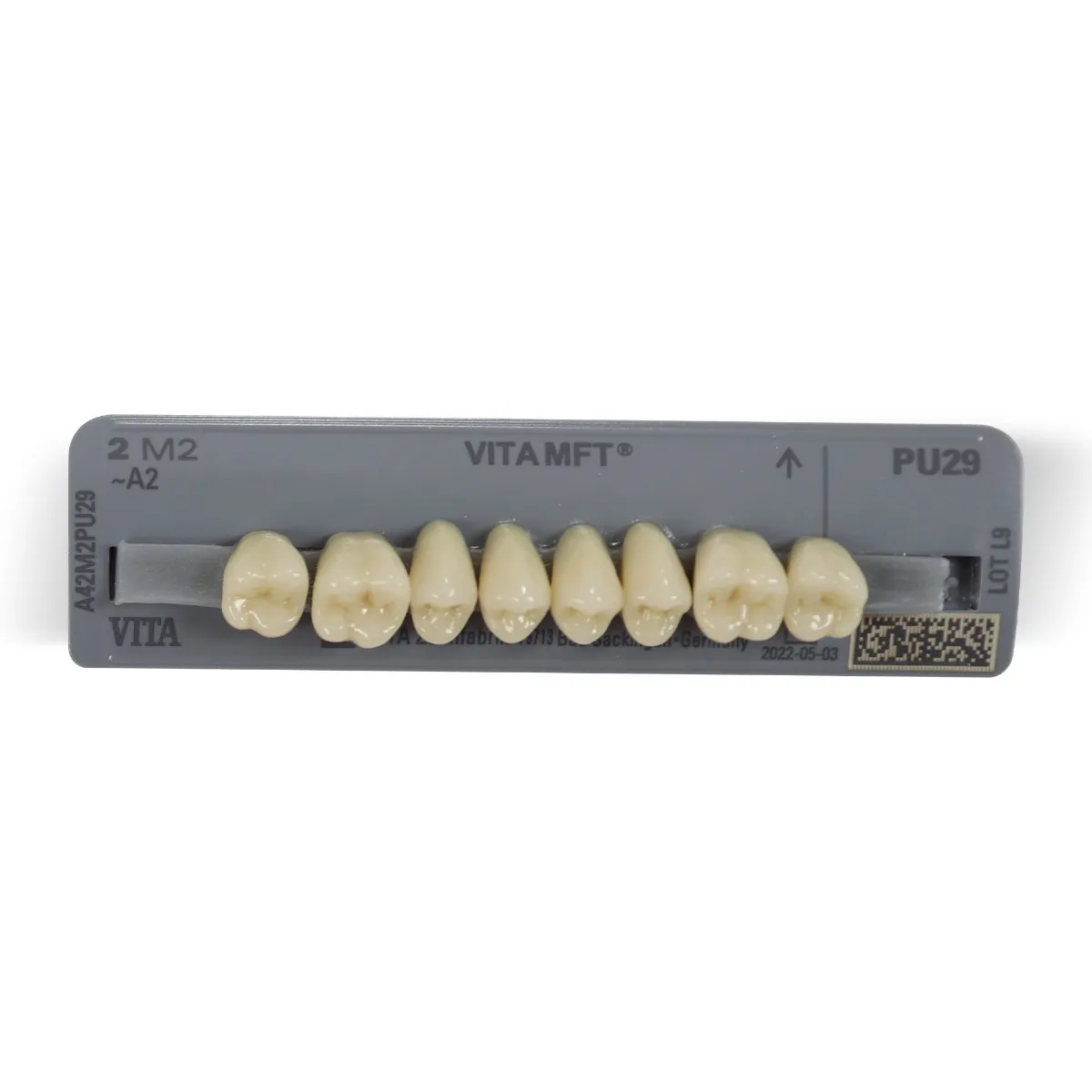Vita MFT Denture Teeth 2M2 (Set of 28)