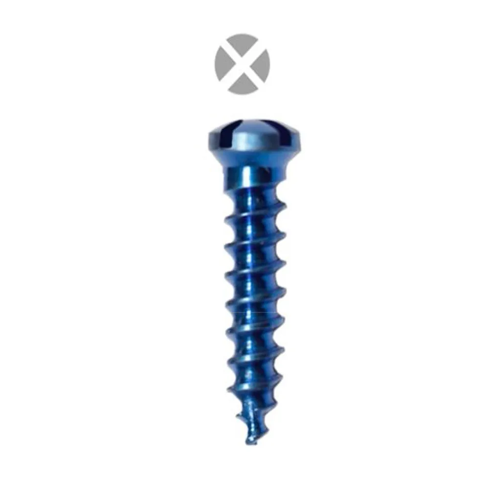 Buy SK Surgical Titanium Cross Head Screw 2mm Online | Dentalkart