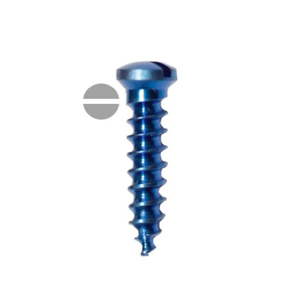 Buy SK Surgical Titanium Single Slot Screws 2mm Online | Dentalkart