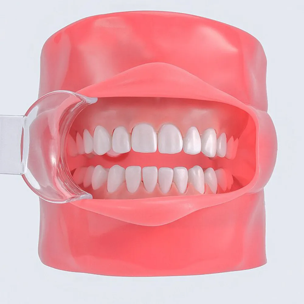 Buy Prime Ortho Lip Retractors Online At Best Price On Dentalkart