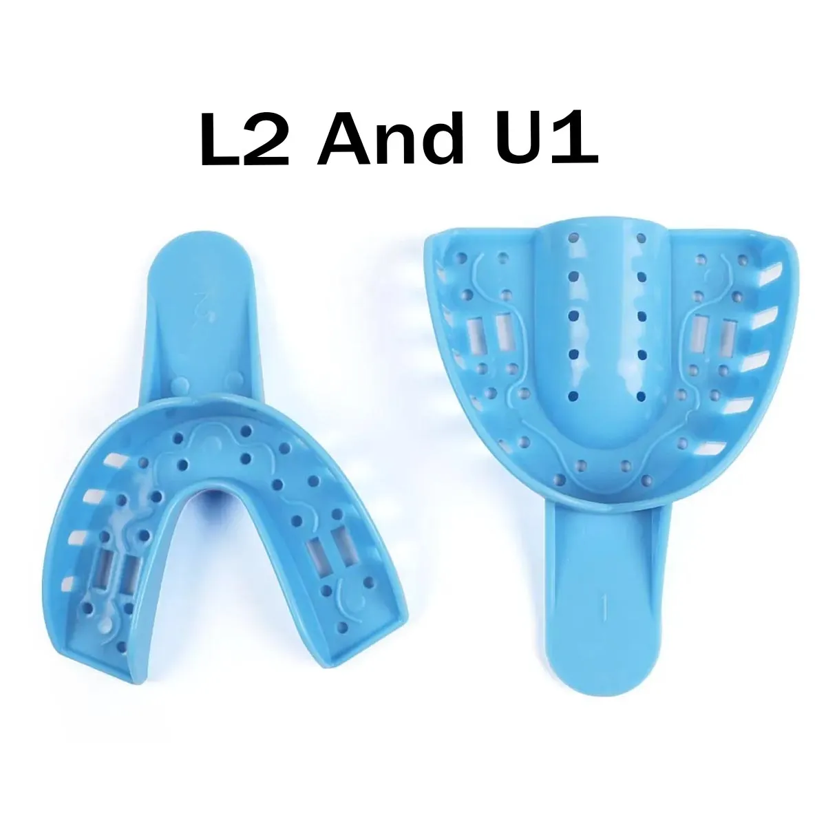 Buy EiTi Impression Tray Pack of 2 - Autoclavable Dentulous Trays ...