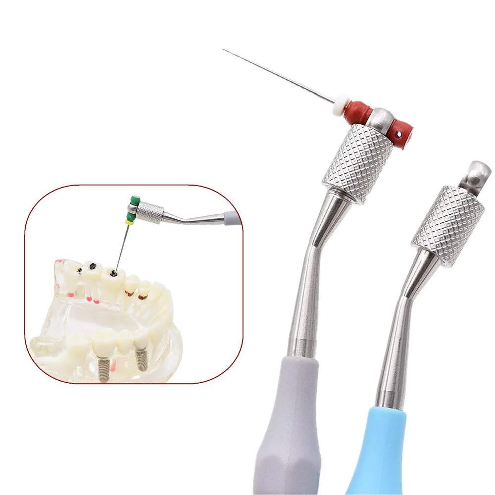 Dental Rotary Files Holder: SuperEndo Endodontic Files Holder ...