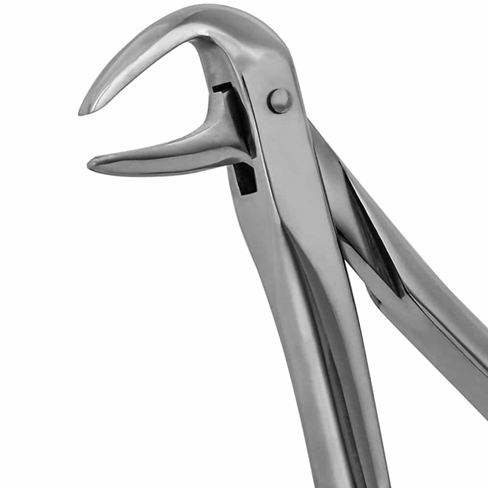 GDC Extraction Forceps Lower Roots - 74n Ergonomic (Fx74ne) | DentalKart
