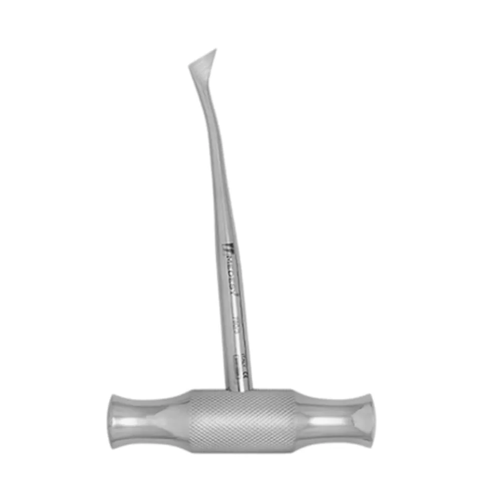 Medesy W. Barry Root Elevators