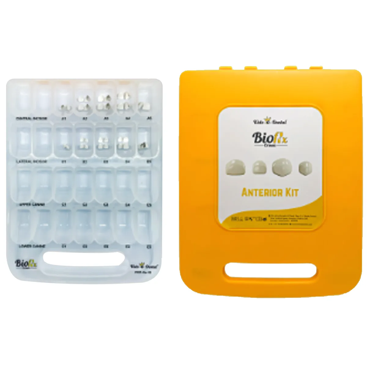 Kids-e-Dental Bioflx Anterior Crown Kits – Buy at Dentalkart