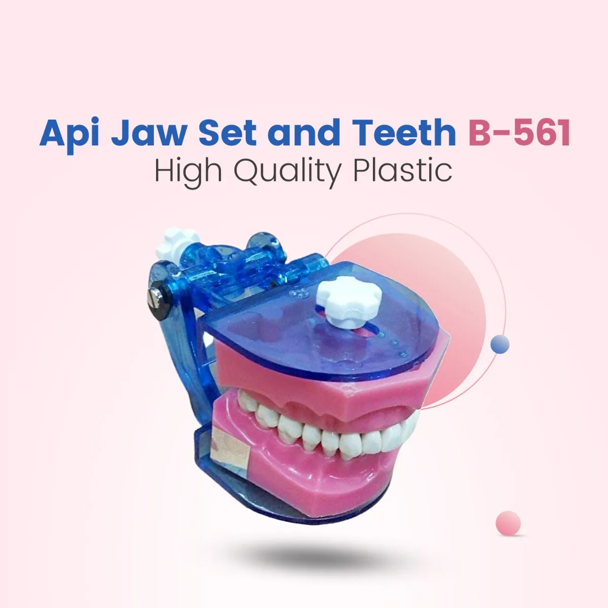 API Jaw Set and Typodont Teeth : Buy Durable and Realistic Dental ...