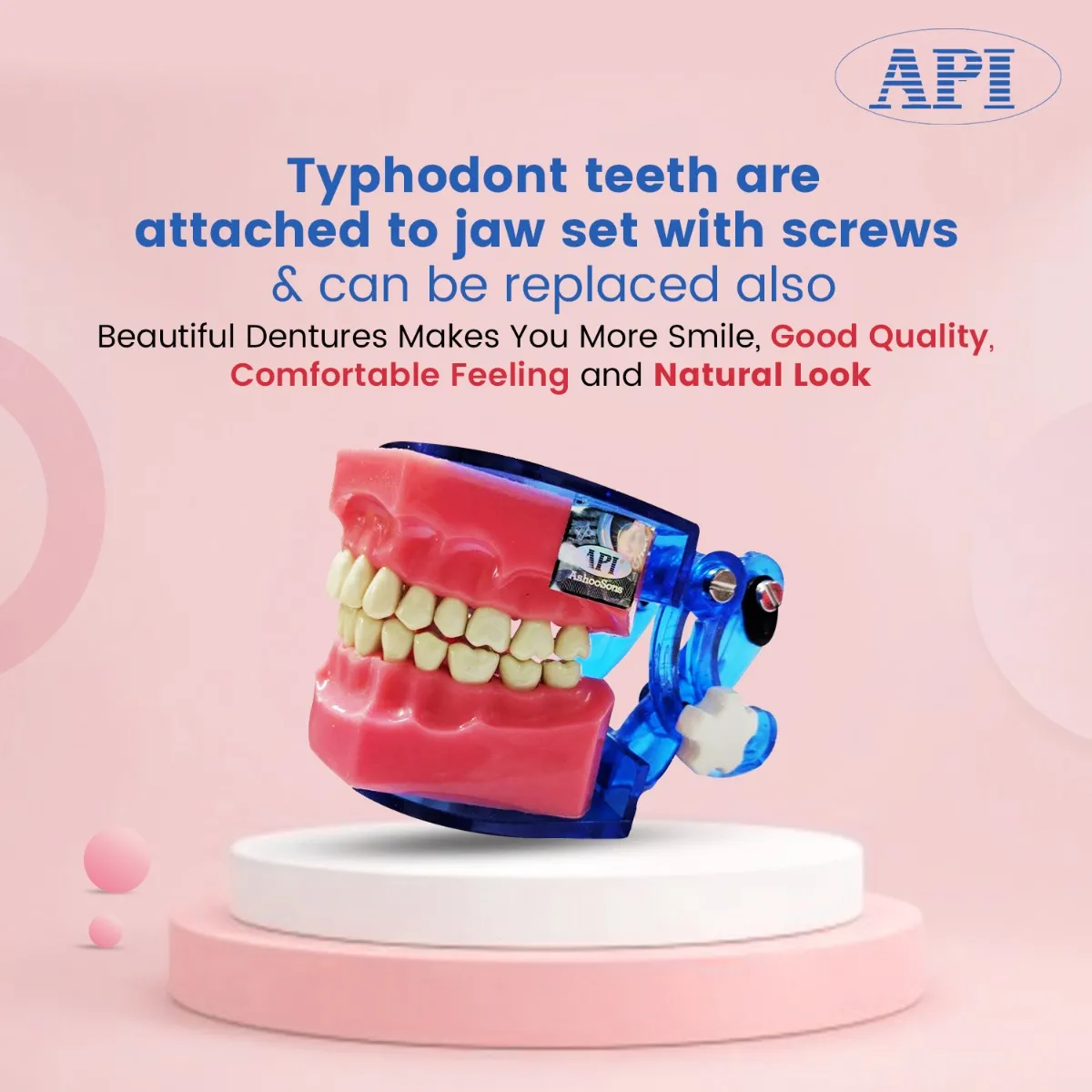 API Jaw Set and Typodont Teeth : Buy Durable and Realistic Dental ...