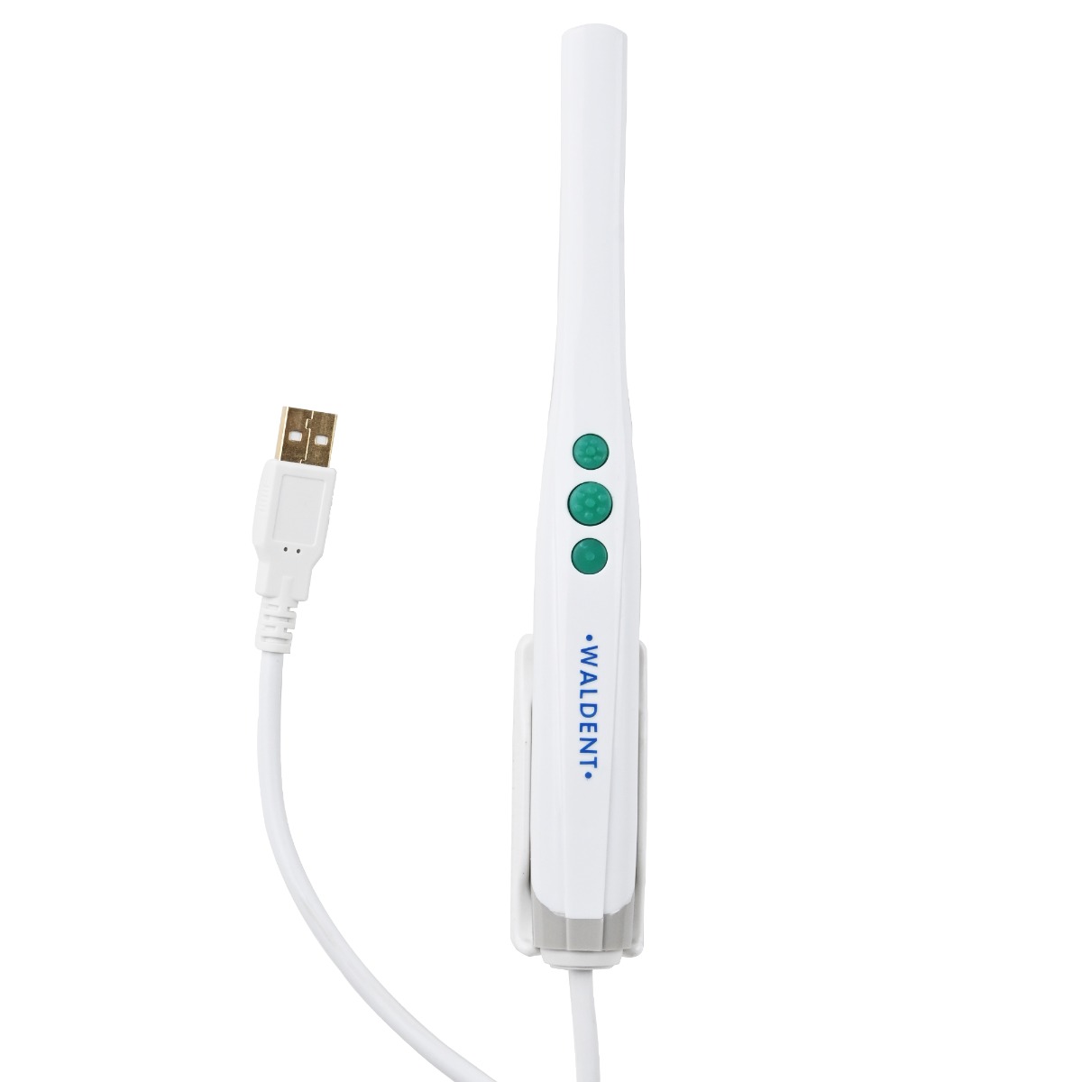 Buy Waldent Intraoral Camera USB Model ( For Laptop ) Online at Best ...