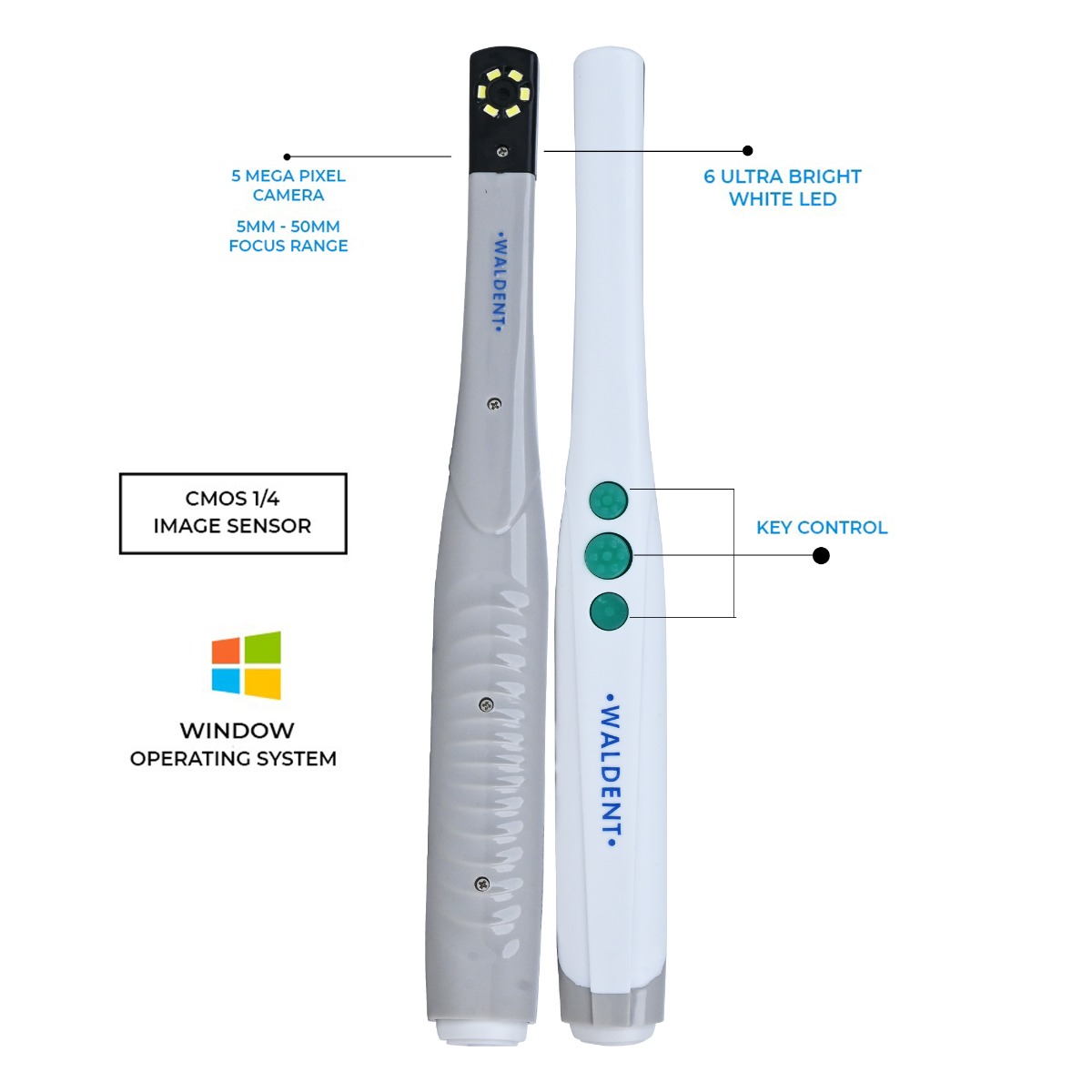 Buy Waldent Intraoral Camera USB Model ( For Laptop ) Online at Best ...