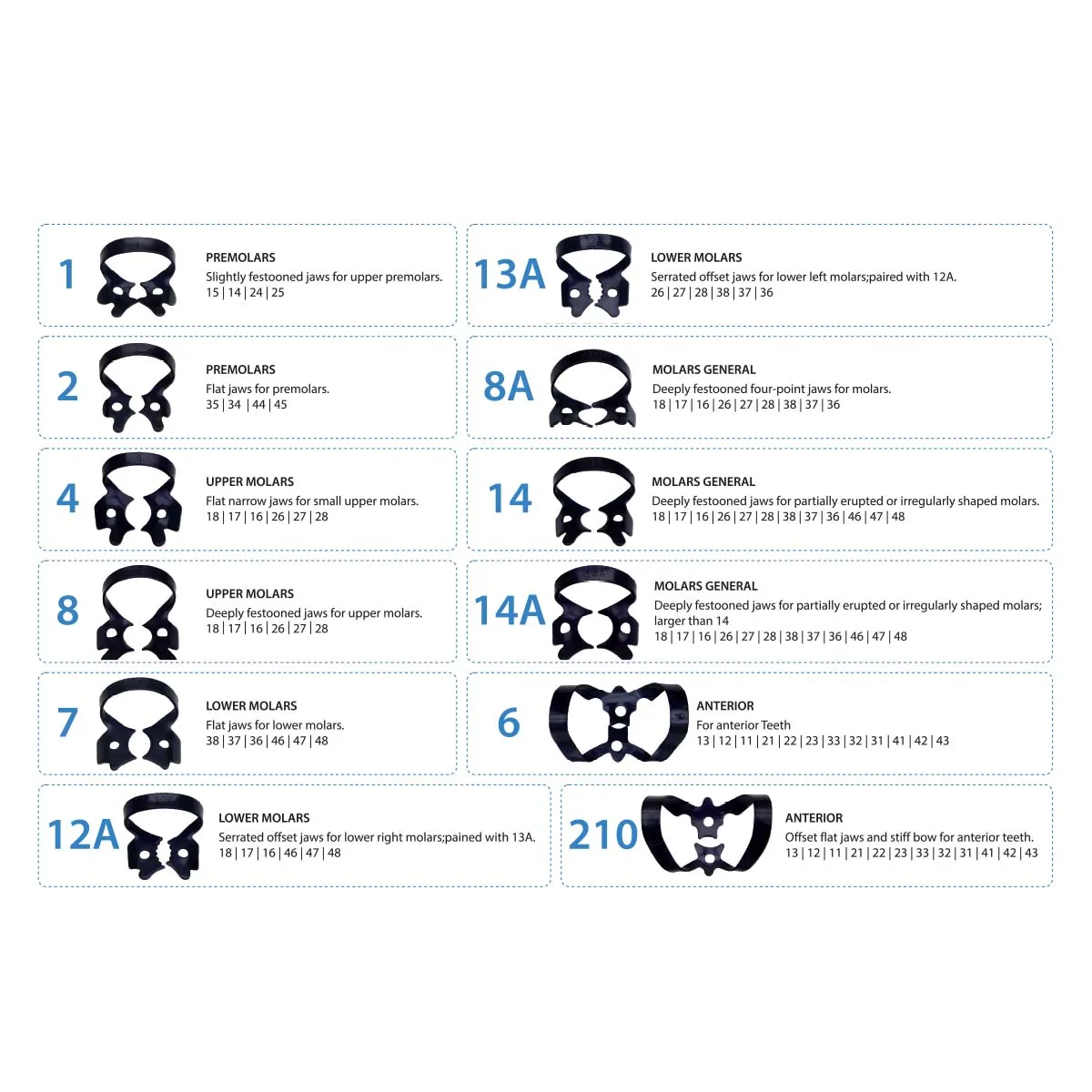 Waldent Stainless Steel Rubber Dam Instrument Kit Online at Best Price ...