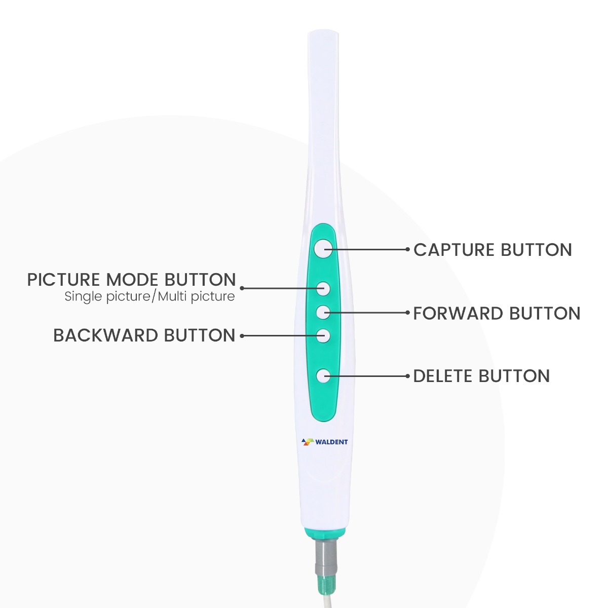 Buy Waldent Intraoral Camera Smart -Cam with PMS Online at Best Price ...
