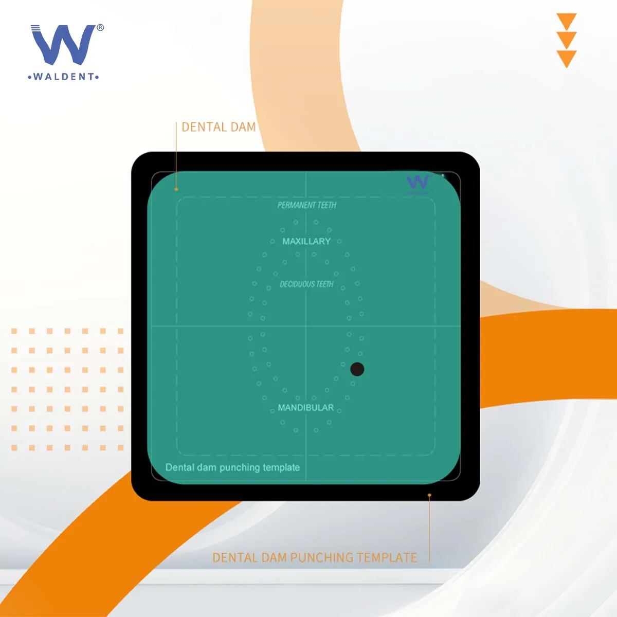 Waldent Stainless Steel Rubber Dam Instrument Kit Online at Best Price ...