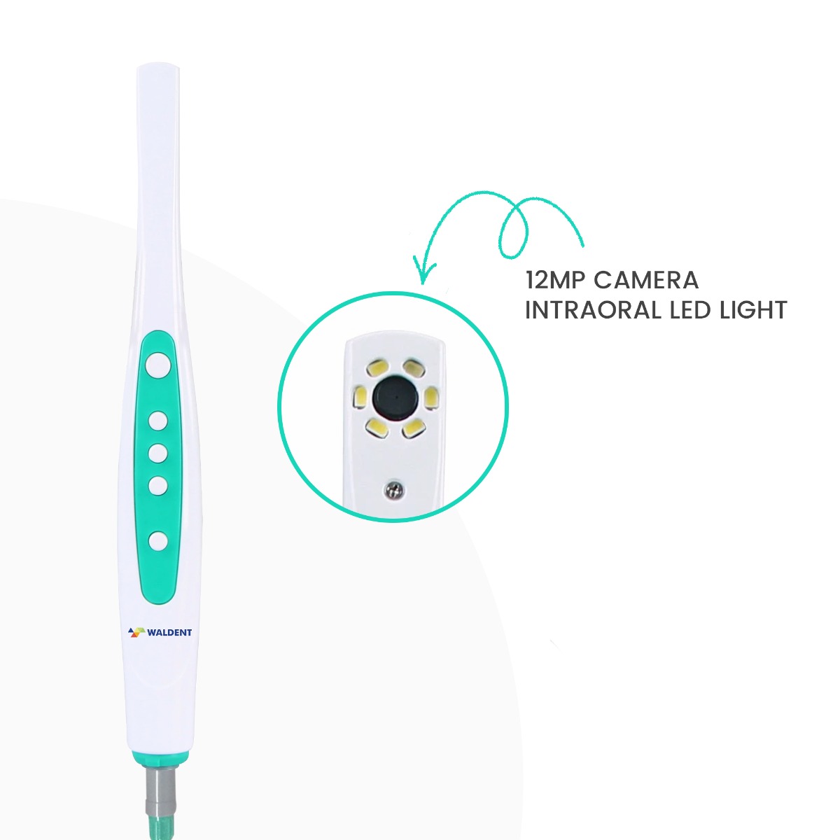 Buy Waldent Intraoral Camera Smart -Cam with PMS Online at Best Price ...