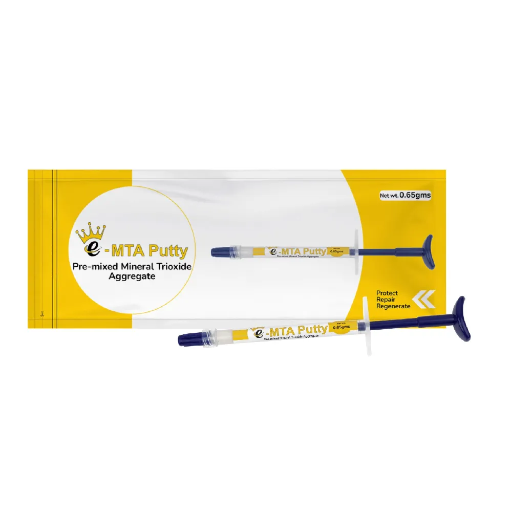 E-MTA Putty