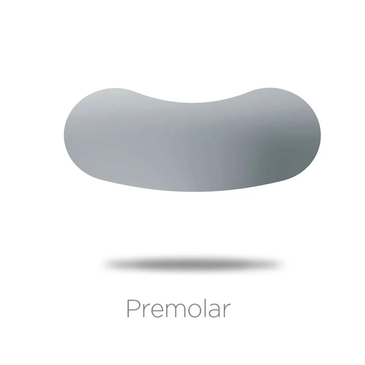 Polydentia QuickmatFLEX Sectional Matrices