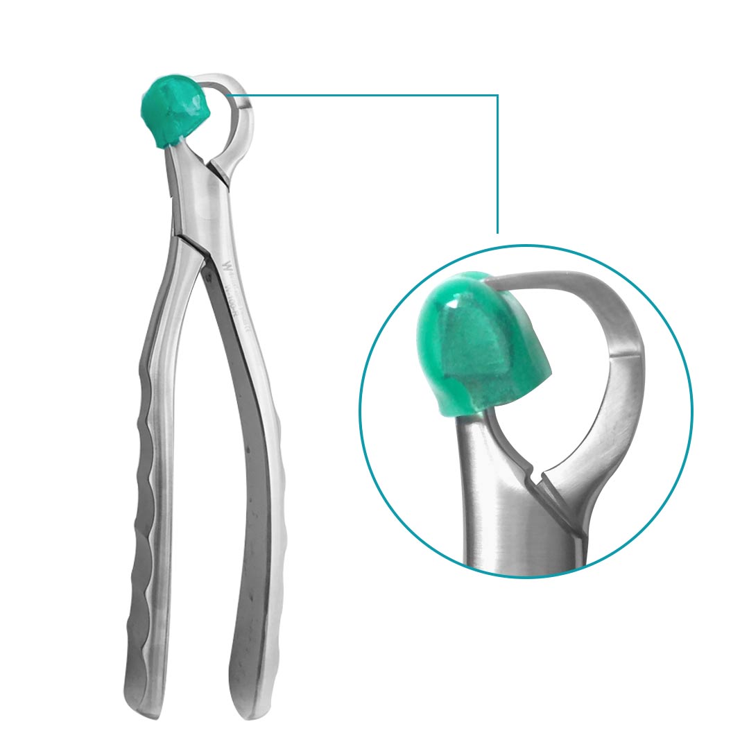 Buy Waldent Physics Forceps - Atraumatic Extraction Tool | DentalKart