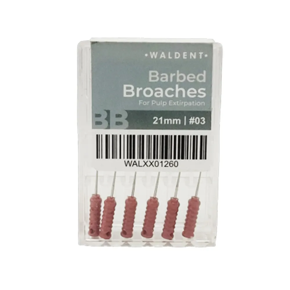 Waldent Barbed Broaches 21mm (Pack of 6) | Dentalkart