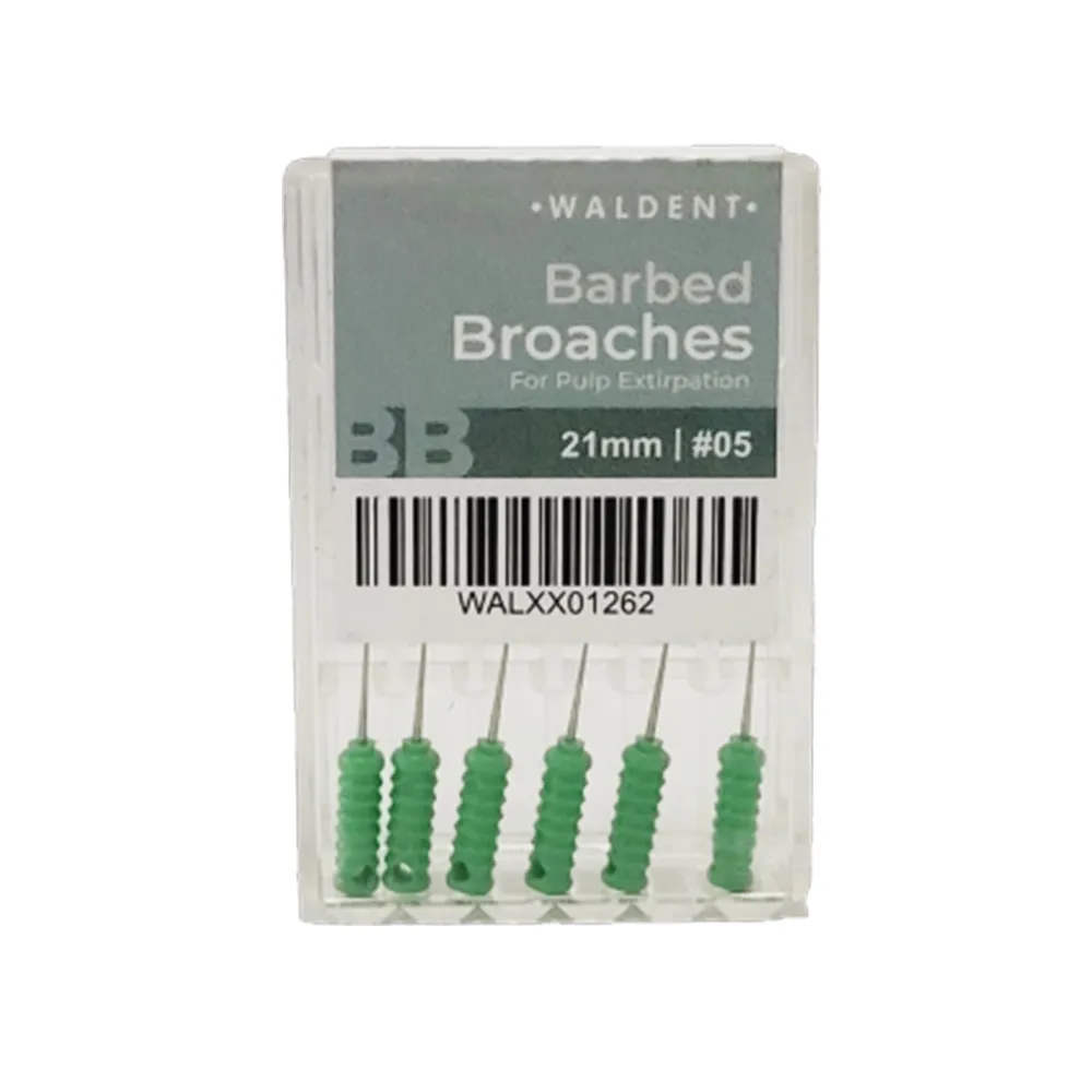 Waldent Barbed Broaches 21mm (Pack of 6) | Dentalkart