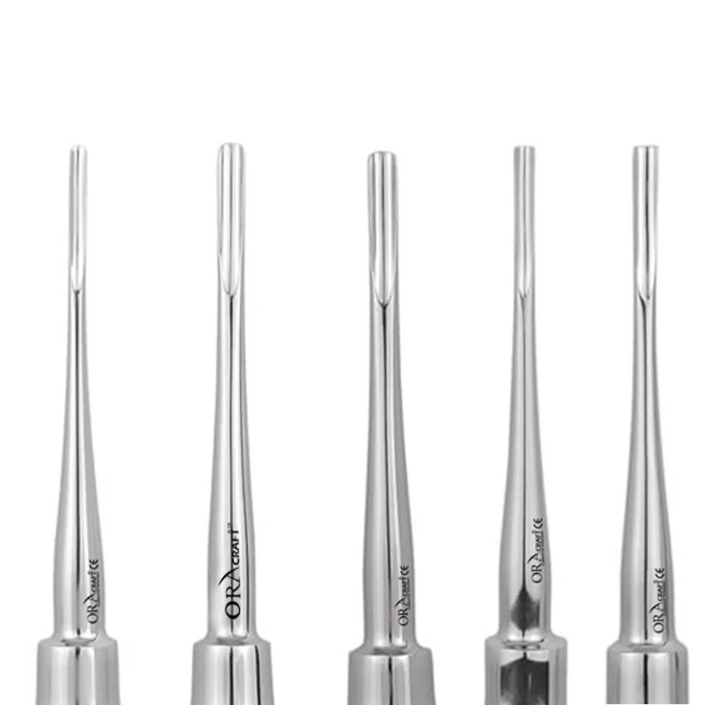 Oracraft Root Elevator Bein