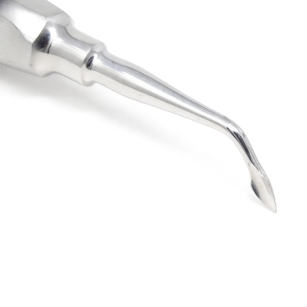 GDC Root Bernard Elevators