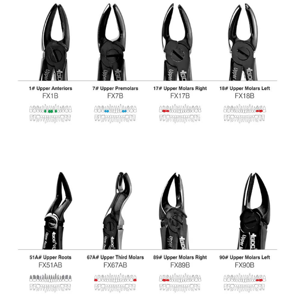 GDC Extraction Forceps Lower Molar And Wisdom Left-22 1/2l Standard ...