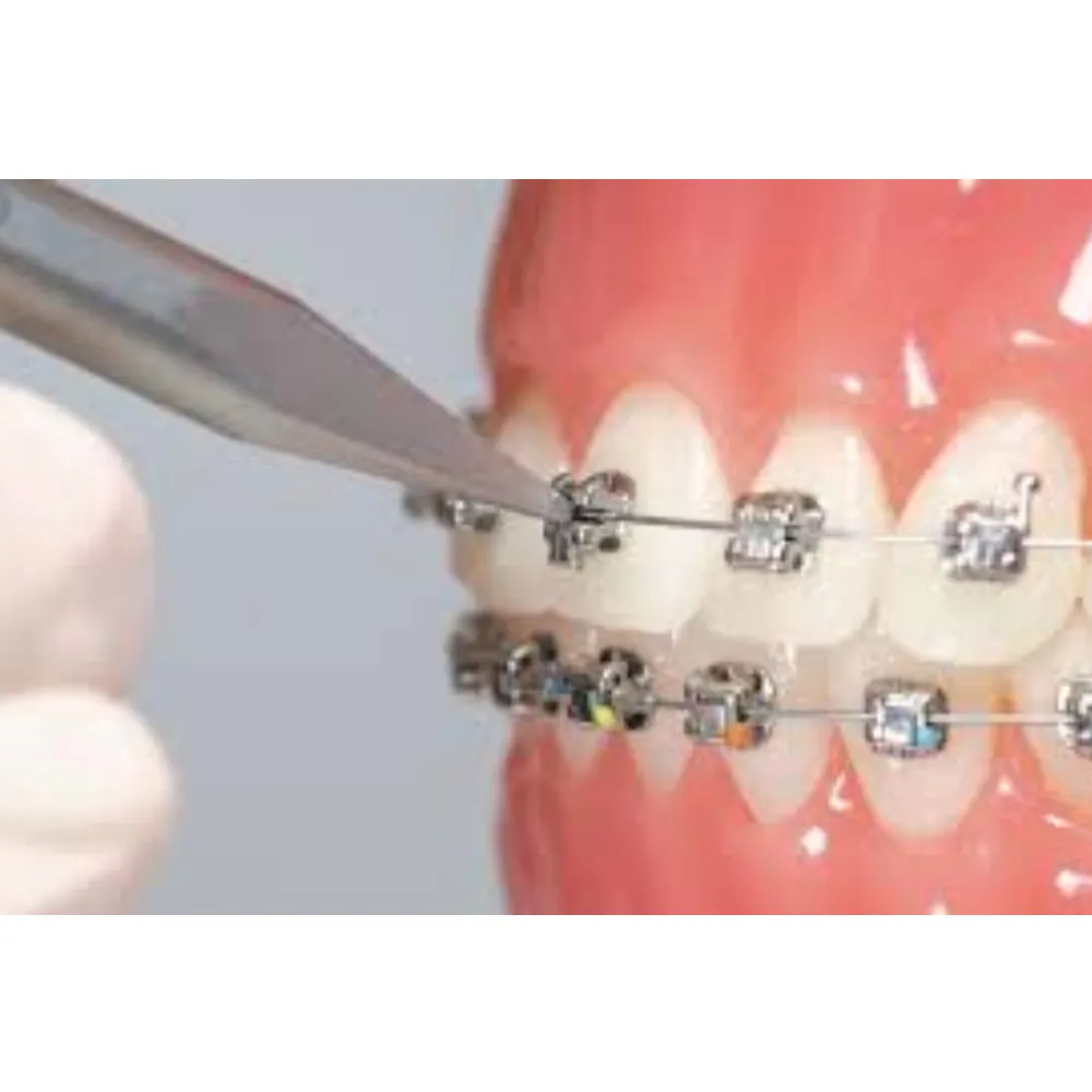 Axim Passive Dam SL Bracket (SLB) Instruments