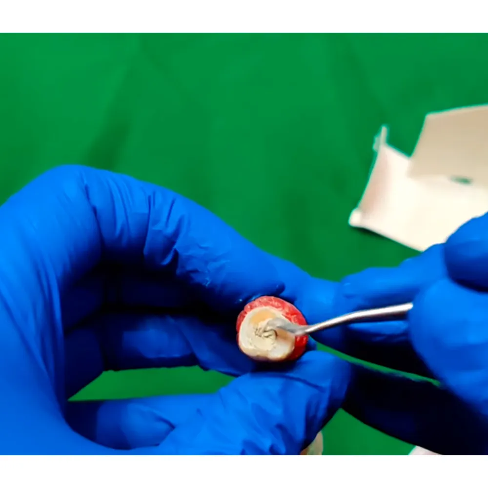 3m Espe Cavit -G Temporary Filling Material Online at Best Price ...