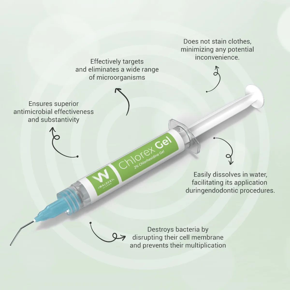Waldent Chlorhex Gel