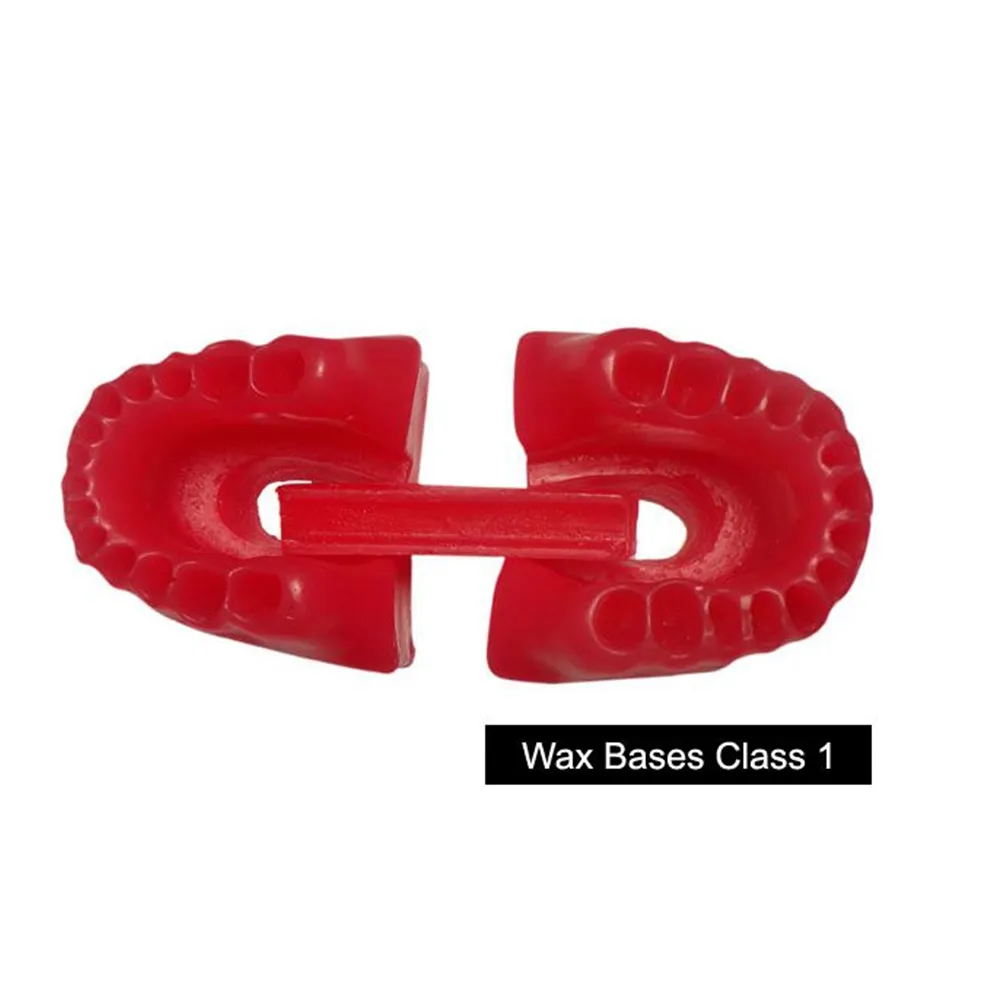 Rabbit Force Typodont Wax Bases Online at Best Price | Dentalkart.com