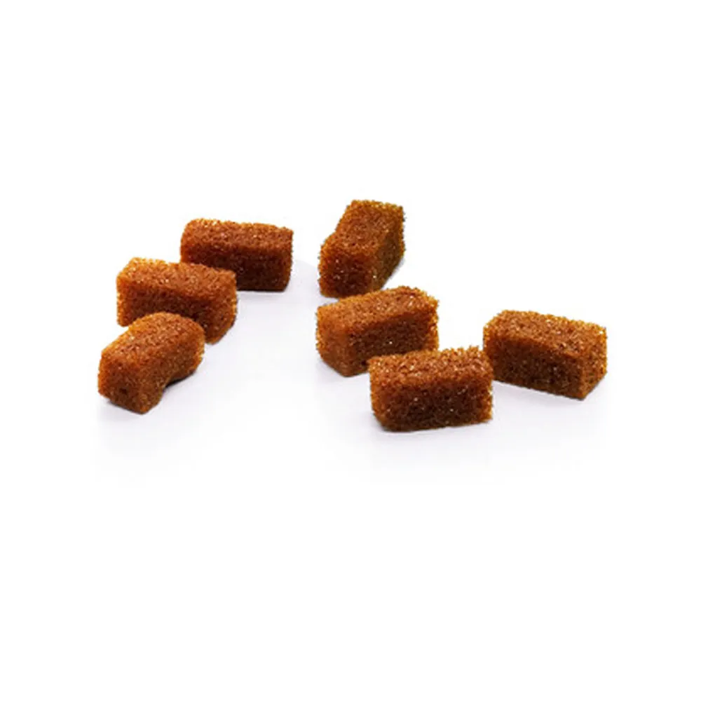 Coltene Gelasponge Absorbable Gelatin Sponge