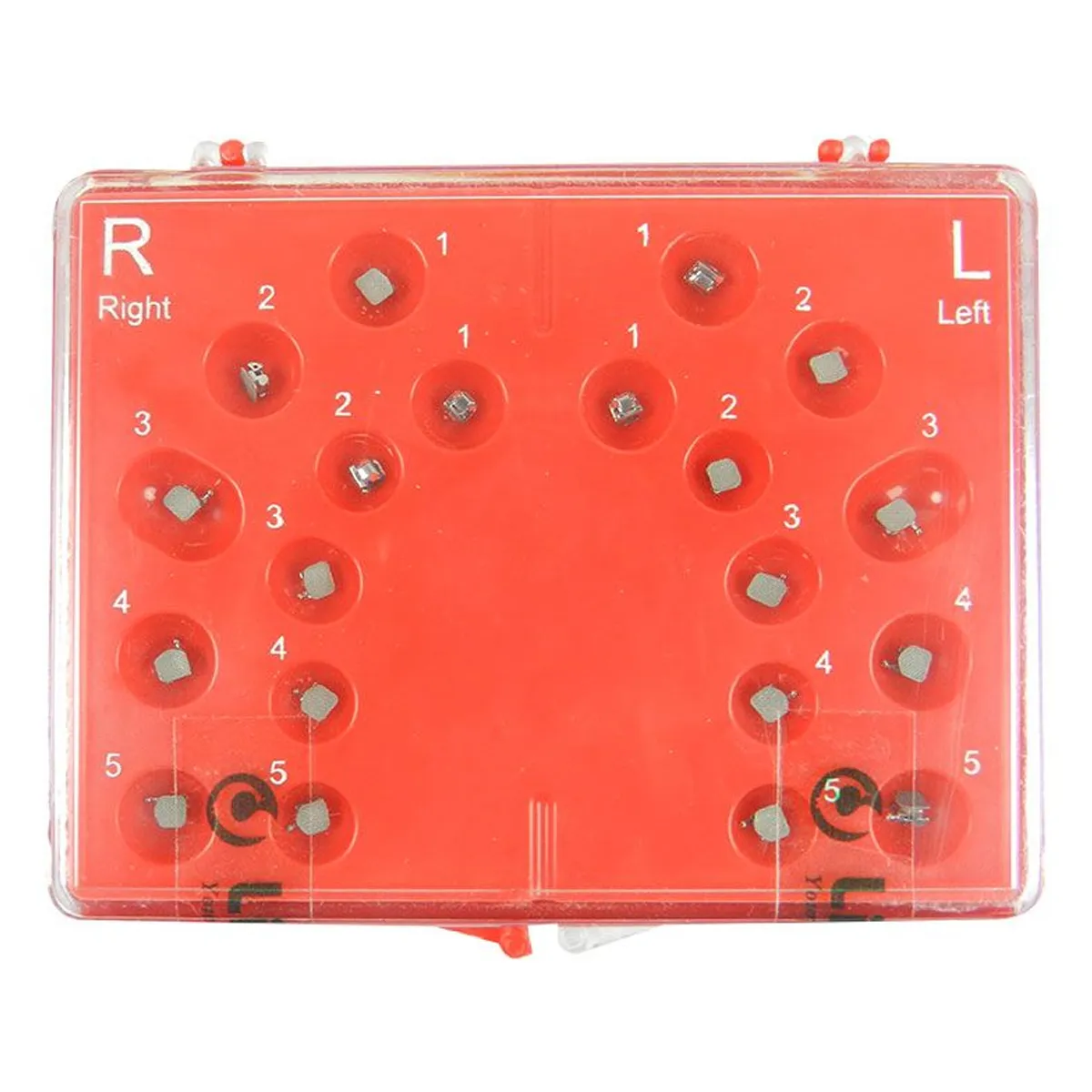 Libral Morelli Niti Archwire Axim Passive Dam SLB Kit Combo Pack